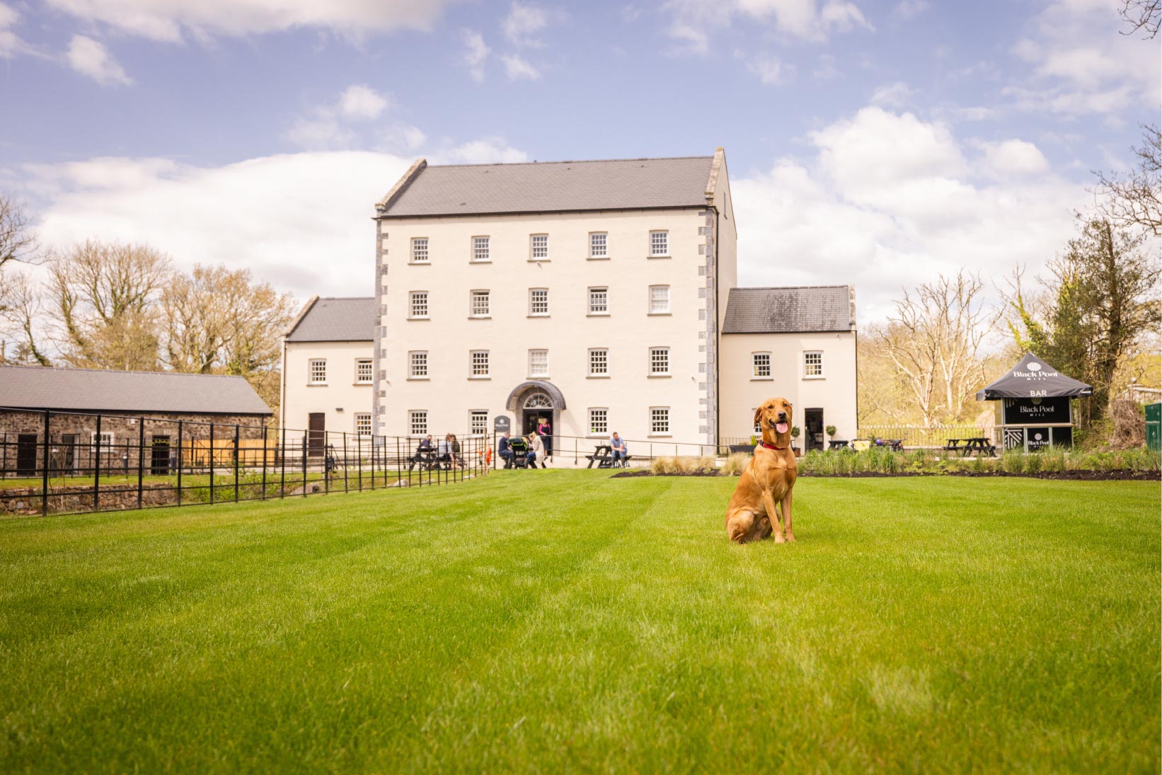 Black Pool Mill - A Taste of Pembrokeshire